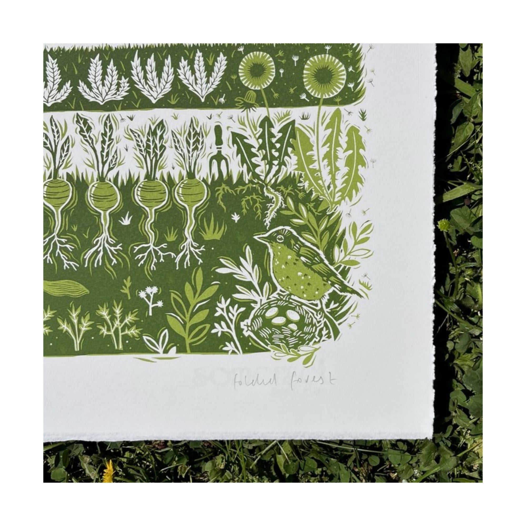 Allotment Limited Edition Print – Harbour Lane Studio