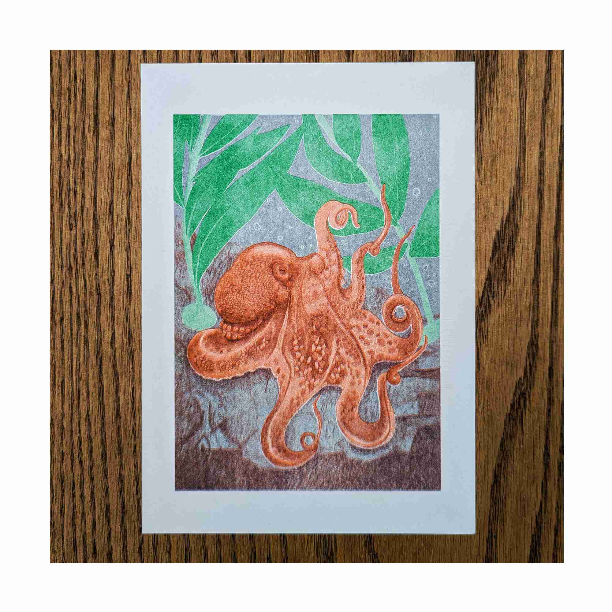 The Octopus Risoprint – Harbour Lane Studio