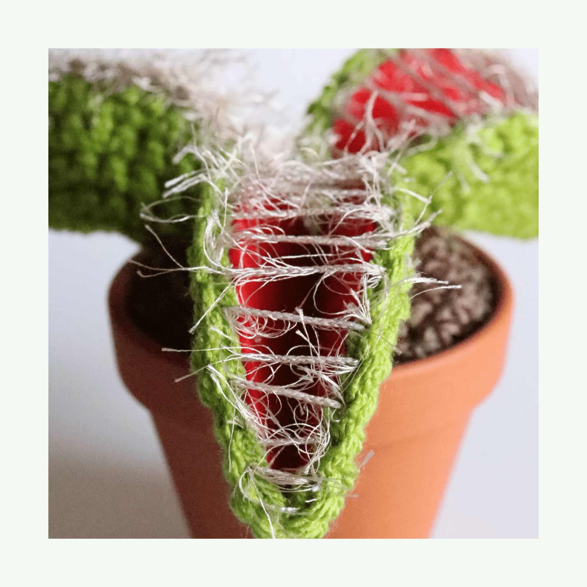 Crocheted Venus Flytrap – Harbour Lane Studio